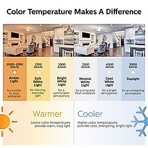 Philips LED Basic Frosted Non-Dimmable A19 Light Bulb - EyeComfort Technology - 800 Lumen - Soft White (2700K) - 10W=60W - E26 Base - Indoor - 4-Pack