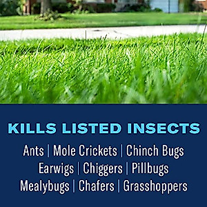 BioAdvanced Lawn Weed and Insect, Concentrate, 32 FOZ