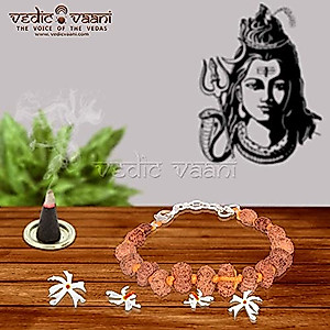 Vedic Vaani Certified 1-14 Mukhi Siddhi Java Rudraksha Bracelet | 1-Face Ek Mukhi Ganesha Vighnaharta Rudraksh Locket (Pack of 2)