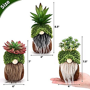 Upltowtme Succulent Gnomes Greenery Plants Swedish Tiered Tray Faux Moss Tomte Cacti Nordic Dwarf Home Stuffed Gnomes Collection Garden Display Friend's Coworker's Summer Gift for Plant Lover Set of 3