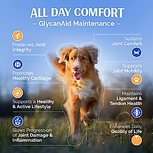 TopDog Health GlycanAid Maintenance Joint Nutrition for Dogs (60 Chewable Tablets), Made in USA-USA Ingredients: Glucosamine HCL, Chondroitin Sulfate, MSM, Vitamin C