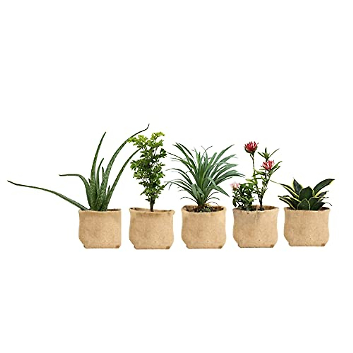 Jute Gardens 5 Pack of I Gallon Biodegradable Grow Pot Nursery Pots - Growing Plants - Plastic Free - Flowers Vegetable Planter - Potting Bags - Jute Fabric - Planting - Smart Design Pots