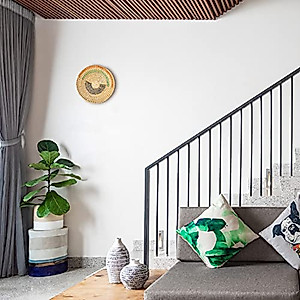 Kiwi Homie Round Woven Seagrass Wall Decor Basket Trays, Flat Natural Boho Baskets Handmade For Living Room, Decorative Wicker Wall Bakets For Unique Hanging Wall Art (12.99, Horizon)