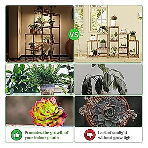 Solatmos Wood Plant Stand With Grow Lights Indoor Plants Outdoor Corner Plant Shelf Flower Stands for Living Room Balcony Garden (9 Pots)