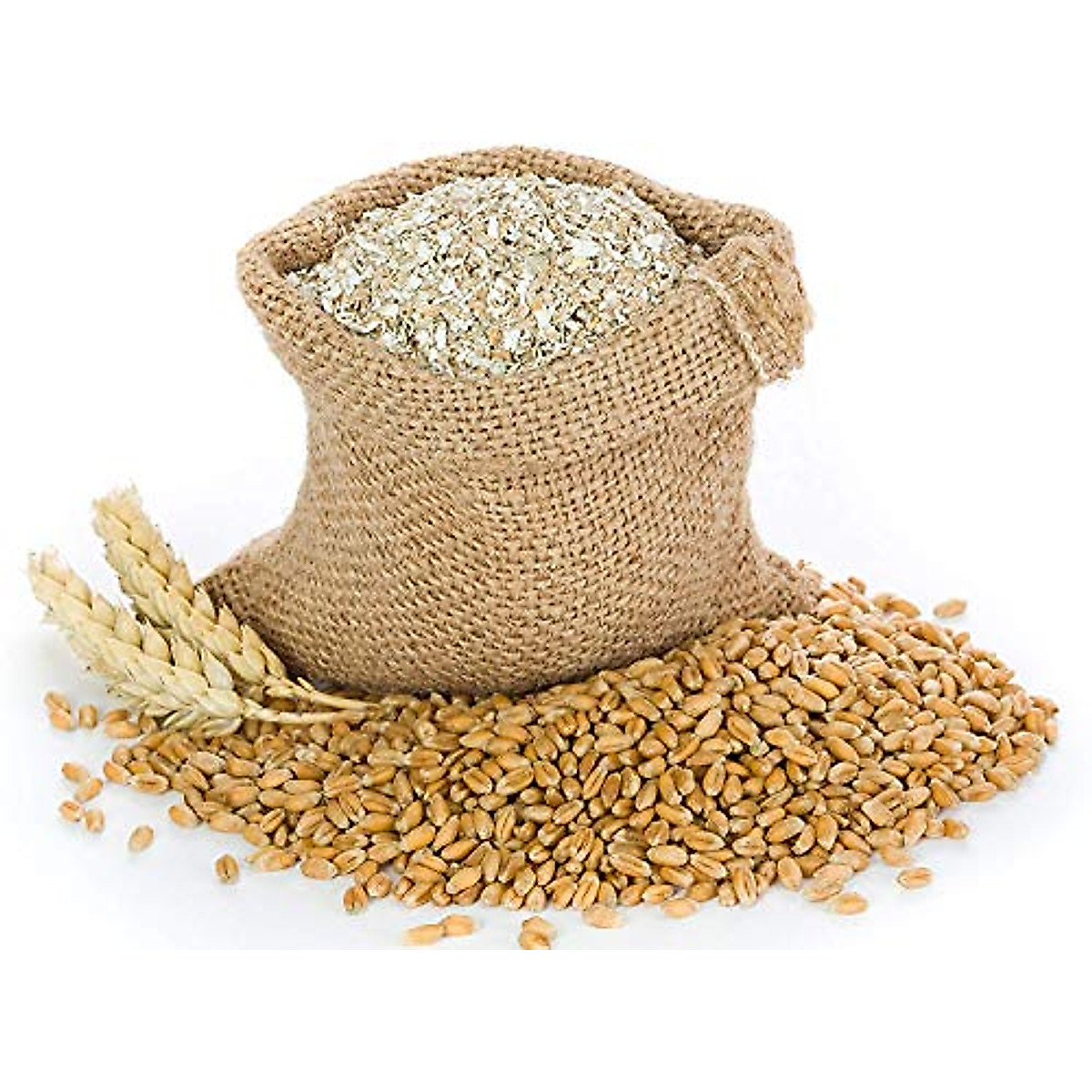 Lancaster County Organic Farms 10LB Wheat Bran Bedding, Food for Mealworms and Superworms