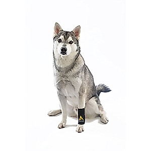 AGON® Dog Canine Front Leg Brace Paw Compression Wraps with Protects Wounds Brace Heals and Prevents Injuries and Sprains Helps with Loss of Stability Caused by Arthritis (Small/Medium)