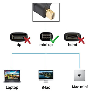 Duttek 4K Down Angled Mini DisplayPort Cable 1FT, Mini DisplayPort Extender Cable, (Mini DP Male to Mini DP Female Adapter) for Mini Displayport 1.4 Cable for Computer Laptop