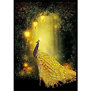 QDCFY ARAZADR 11CT Embroidery Starter Kits for Adults Stamped Cross-Stitching for Kids Printed 3Strands Golden Peacock Stamped Kits Peacock Full Canvas Painting Counted Kits for Decor 11.81×15.75Inch