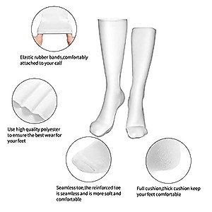 Reptiles Funny Compression Socks Women and Men,Lizard Family Design Primitive Reptiles Camouflage Exotic Creatures Home Design,Best for Circulation,Running,Athletic,Nurse,TravelMulti- 19.8 inch