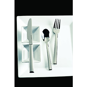 Fortessa Still 18/10 Stainless Steel Flatware Tea/Coffee Spoon, Set of 12