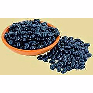 Bean Seed, Black Turtle Bush Bean, Heirloom, Non GMO, 100 Seeds, Terrific Black Beans