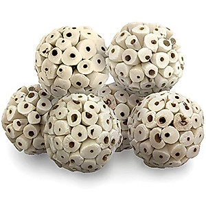 Meric 6 Pack Sola Atta Foraging Balls, 2-inches, Chewing Bird Toys, Satisfies Pecking Instincts in Parrots, Cockatiels, Parakeets, Chinchillas, and Guinea Pigs,Unique Addition to DIY Home Decor