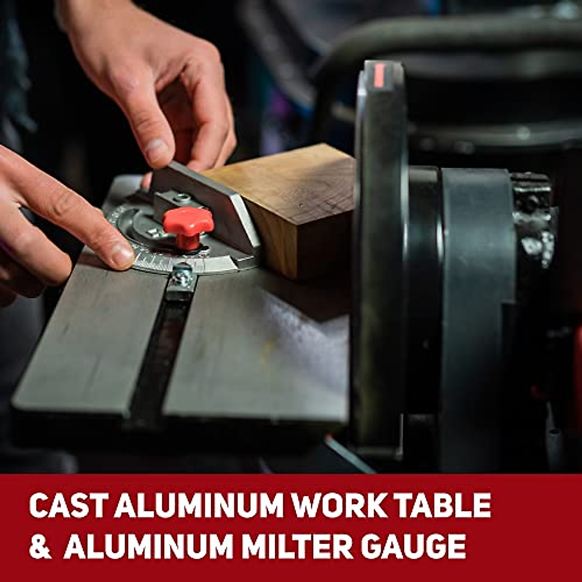 BUCKTOOL Powerful 1-1/2 HP Bench Belt Sander for Wood Working 6 in. x 48 in. Belt and 10 in. Disc Sander with Movable Stand BD61000