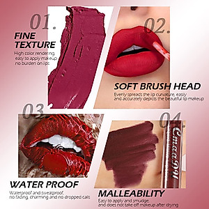 evpct CmaaDu 6Pcs Liquid Matte Lipstick Lipgloss Set for Women Dark Deep Bright Ruby Blood Brick Plum Mauve Rose Red labiales mate 24 horas originale matte larga duracion 24 Hour Lipstick Long Lasting
