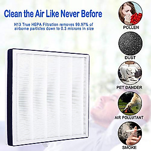 Flintar 2-Pack of Premium H13 Grade True HEPA Replacement Filter Set, Compatible with RENPHO Air Purifier RP-AP001, RP-AP001S, and RP-AP002, Part # RP-AP001