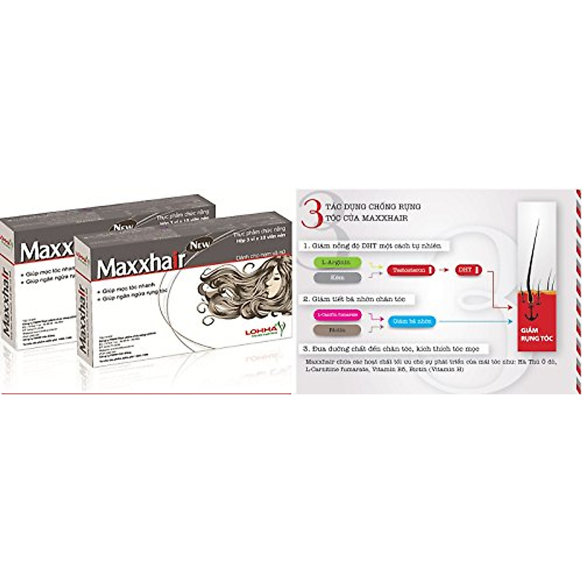 06 Boxes + Free 1 - Maxxhair Help for Hair Strong, Enhances The Health of The Hair - Thuốc Mọc Tóc Maxx Hair-Ship from USA time 7-14 Days