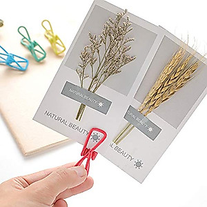 30 Pcs 2 Inch Red Chip Clips, PVC Coating High Elasticity Strength Clothes Pins, Food Clips and Bag Clips