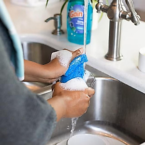 Wholesale GAIN DISH LIQUID HONEY BERRY HULA 21.6 OZ