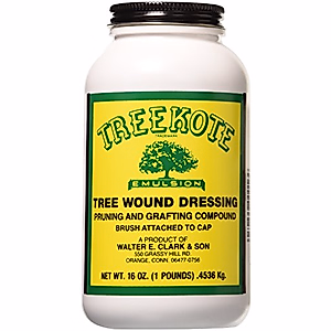 Clarks 00016 Treekote Brushtop Container, 16-Ounce