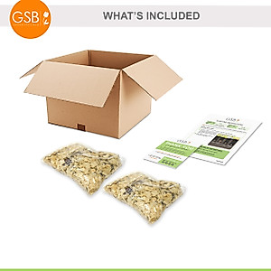 Garden State Bulb Mixed Caladium Bulbs, Bare Roots (Bag of 20)