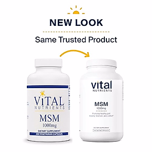 Vital Nutrients - MSM - Natural Form of Organic Sulfur - 240 Vegetarian Capsules per Bottle - 1000 mg