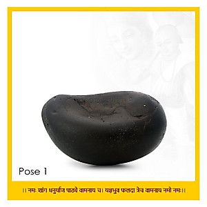 Vedic Vaani Vaman Vishnu Rupam Shaligram Shila |Shaligram Paste|Vridavan Tulsi Attar| Tulsi mala (Pack of 4)