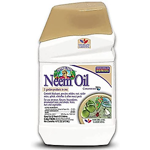 Neem Oil Fungicide Miticide Insecticide Conc