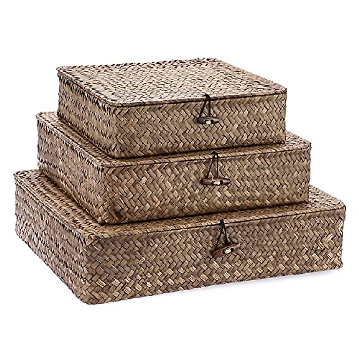 Hipiwe Flat Wicker Basket Bins with Lid - Set of 3 Handwoven Seagrass Storage Basket Shelf Baskets Boxes Multipurpose Home Organizer Bins Boxes for Shelf Pantry Closet,Large Size 14.8"x13"