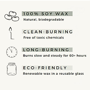 Vera Rose Home Sage & Citrus Scented Soy Candle Long Burning Highly Scented Candles 60+ Hours Clean Burning White Natural, Christmas Gift Odor Eliminating Candle Safe for Pets 12oz Jar Candle