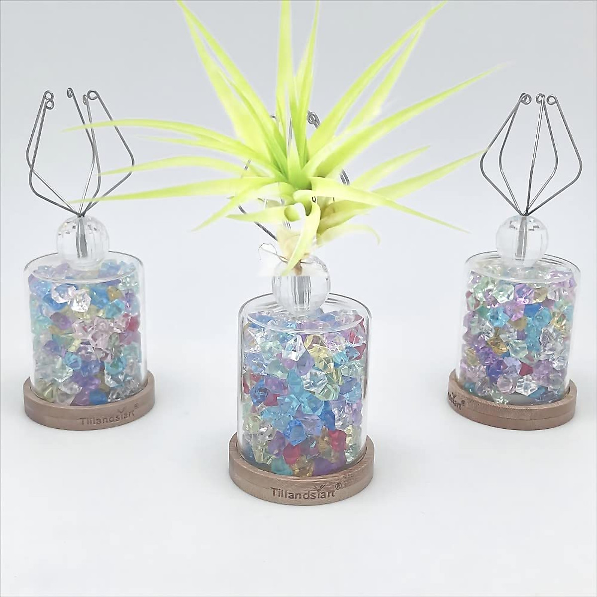 Tillandsiart 3Pack Air Plant Holders (3Pcs Air Plant Containers W/LED Lights) A decorative accessory for setting up air plant display for house decor.