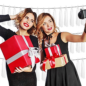 3P White Foil Fringe Metallic Tassel Streamers Banner Tassel Garland for Parade Floats, Graduation, Wedding, Birthday, Halloween, Christmas, Bridal/Baby Shower Party Decorations