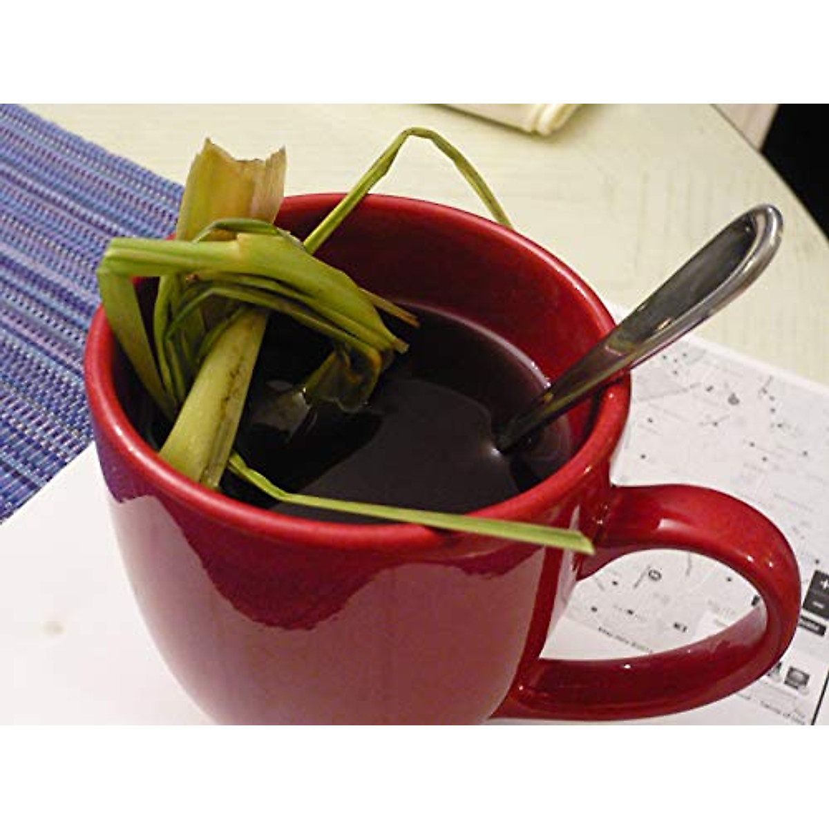 Lemongrass Rootstalk (Cymbopogon Citratus) 2 Live Plants