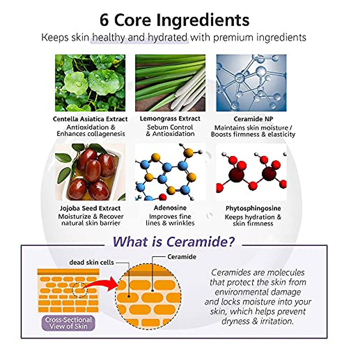 Fascy LAB Ceramide Cream, Premium Moisturizing Face Lotion, Concentrated Ceramide Face Lift Cream, Ceramide & Hyaluronic Acid, Ceramide Hydrating Face Moisturizer — Multipurpose Cream (1.69 floz)