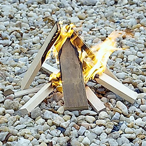 Allen's Fire Starter Cups for Wood Stoves & Campfires - Made of Natural Wood Chips & Wax - 15 Minutes Burn Time - Versatile Usage - Ideal for Hunting & Camping Trips (40 Cups per Pack)