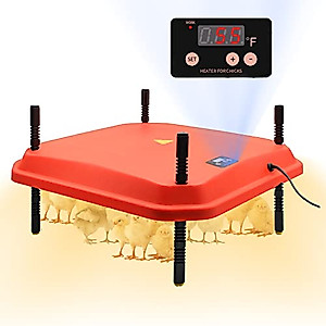 GIFANK Chicken Brooder Heating Plate for Chicks and Ducklings 16” x 16” Temperature Adjustable LED Display Adjustable Height,Safer Than Brooder Lamps Heater,Keeps Up to 30 Chicks Warm,42W