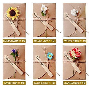 Yayatty Pack of 60 PCS Greeting Card Invitation Cards Retro Kraft Paper Card, 6 Style Birthday Card Thank You Card with Dried Flowers for Christmas Birthday, 4.1 x 2.8 Inch
