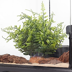 WOLEDOE Fake Green Boston Fern, Reptile Plants for Terrarium, Amphibian Tank Accessories Habitat Decor fit Crested Gecko Leopard Lizard Chameleon Ball Python Snake Frog