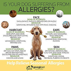 Googipet Dog Allergy Relief Chews - Immune Support Chews for Dog Itch Relief, Salmon Fish Oil for Dogs, Probiotics for Dogs Itchy Skin & Colostrum, Skin Hot Spot Treatment for Dogs & Allergy Relief