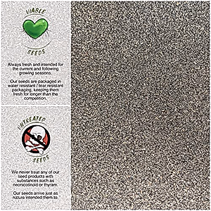 Seed Needs, Portulaca Seeds - 1,000 Heirloom Seeds for Planting Portulaca grandiflora - Moss Rose, Great for Rock Gardens (2 Packs)