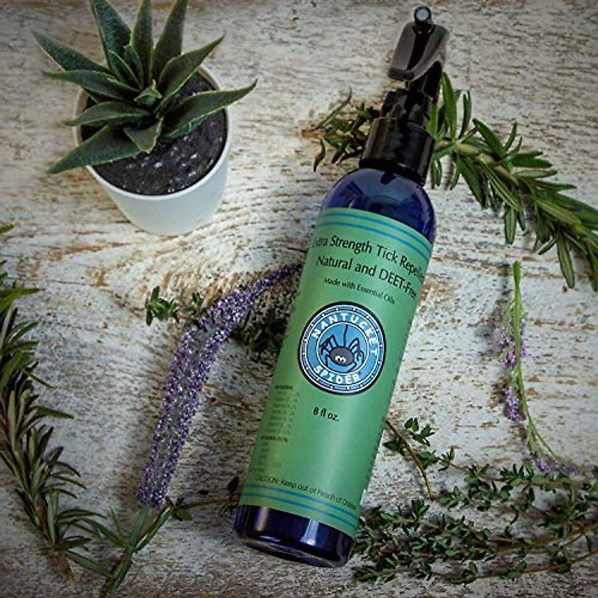 Nantucket Spider 2-Pack Bundle Extra Strength Tick Repellent Spray and Natural Insect Repellent for Dogs| DEET Free with Organic Essential Oils | Repels Ticks and Mosquitoes | 08 fl oz (Each)