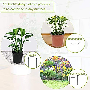 IPSXP Plant Support Stake, 8-Pack Half Round Metal Garden Plant Supports, Green Garden Plant Support Ring, Garden Border Supports, Plant Support Ring Cage for Tomato, Roses, Hydrangea, Flowers Vine