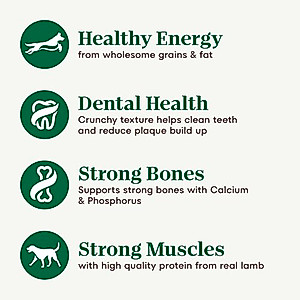 Nutro Natural Choice Senior Dry Dog Food, Lamb and Brown Rice Recipe, 30 lbs.