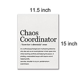 LEXSIVO Chaos Coordinator Definition Print Canvas Wall Art Home Office Decor Modern Minimalist Painting 12x15 Canvas Poster Framed Ready to Hang Funny Staff Pretty Gift