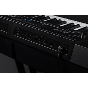 Casio WK-6600 76-Key Workstation Keyboard Bundle with Adjustable Stand, Bench, Sustain Pedal, Power Supply, Instructional DVD, and Austin Bazaar Polishing Cloth