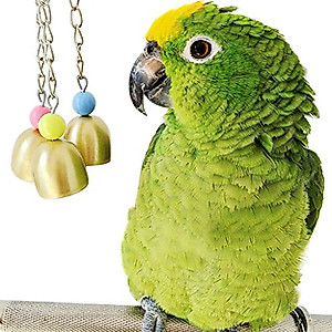 Mrli Pet Parrot Hammock Bell Toys Suitable for Small Parakeets, Cockatiels, Conures, Finches,Budgie,Macaws, Parrots, Love Birds (Bird Toys with Bells)