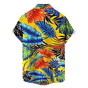 White Jumpsuits for Women Womens Tshirts Women's Pink top Long Lehenga Blouses for Women Ladies Winter Shirts Gray Long Transparent Tops for Women Shirts for Women Dressy Casual Summer Womens Shirts