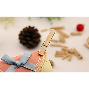 Mini Natural Wooden Clothes Pins, Sturdy Small Wood Clothespin, Photo Paper Peg Pin, Craft Clips for Home School Arts Crafts Decoration, DIY Screen 25mm - 100 Pack