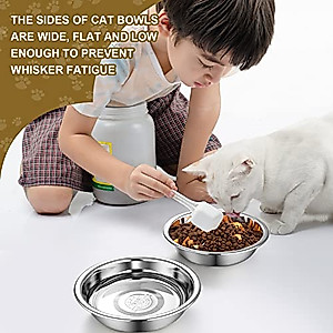 10 Pcs Shallow Cat Food Bowls 6.3 Inches Replacement Stainless Steel Cat Bowls Whisker Fatigue Relief Cat Bowls for Elevated Stand Metal Cat Dishes Basic Bowls for Cat Dishwasher Safe