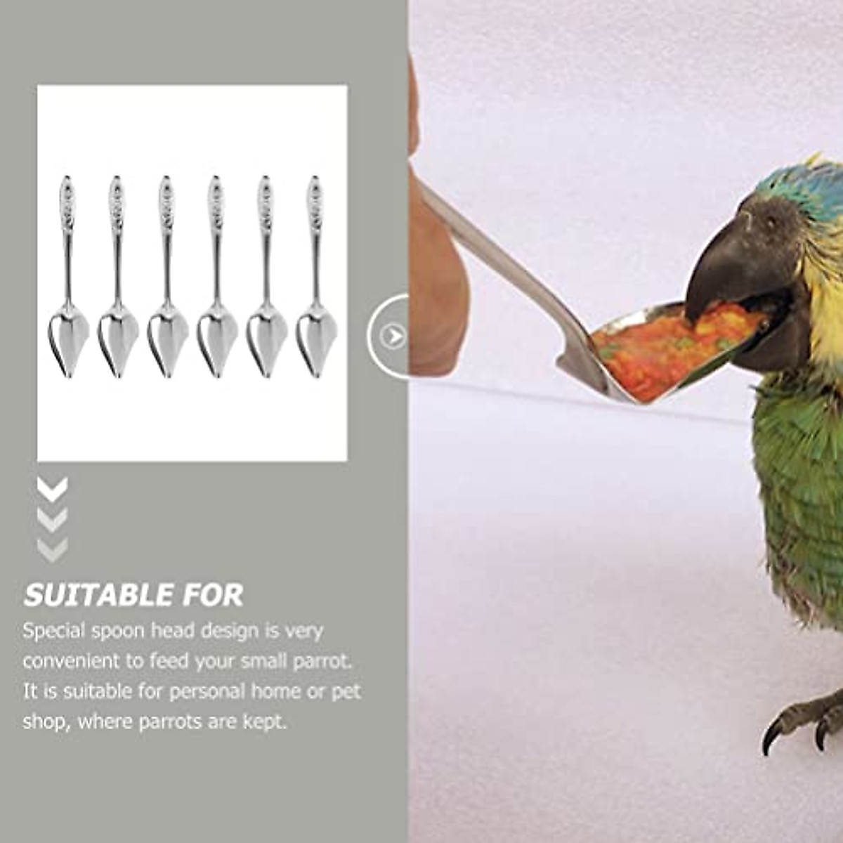 Hemoton 4.7inch Bird Stainless Steel Feeding Spoon, 6Pcs Special Bird Feeding Scoop Spoons, Hand Feeding Spoons for Peony Cockatiel Parrot