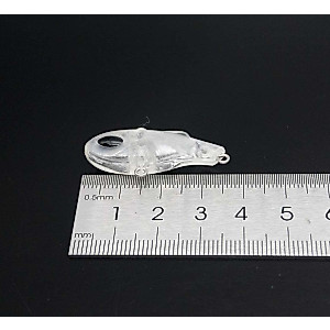 Free Eye 10PC Fishing Unpainted VIB Lure Blanks 36mm 4.5g Simulation Popperbait Topwater Freshwater Lipless Clear Hard Trout Salmon Artificial Bait